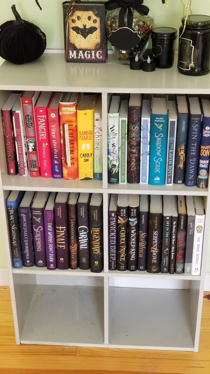 An Evolution of Bookshelves - Lore of the Books